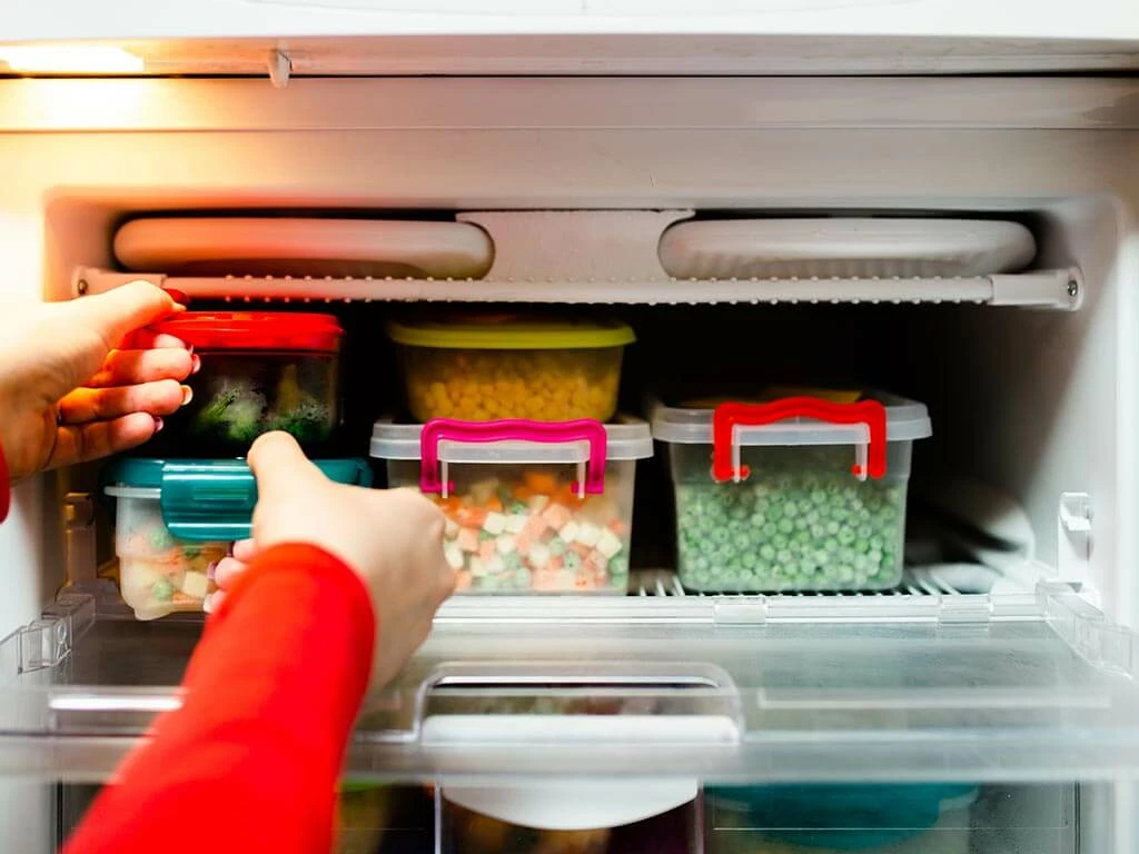 6 Dicas Para Congelar Alimentos De Todos Os Tipos E Economizar Tempo Na ...